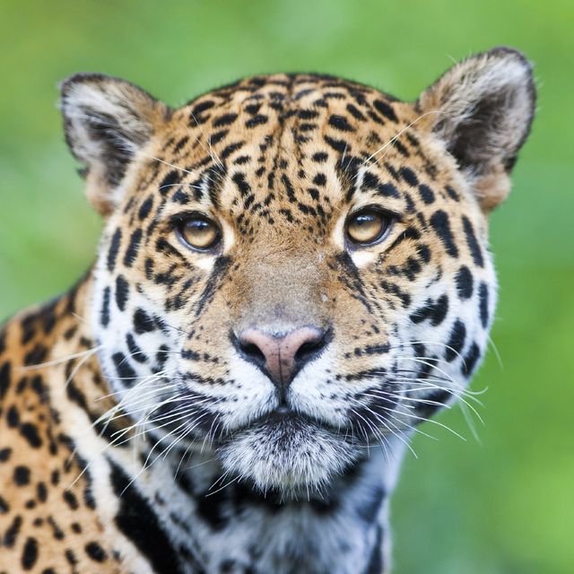 Caroline Ries's Instagram, Twitter & Facebook on IDCrawl